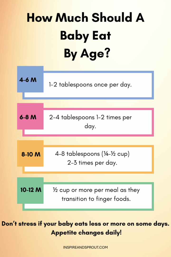 The Ultimate Guide to Baby Food Purees (How Much, How to..)