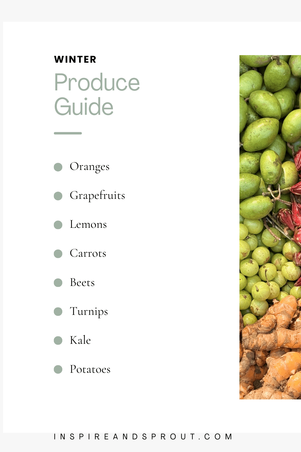 Sustainable Winter Produce Guide Eat Seasonally in Winter